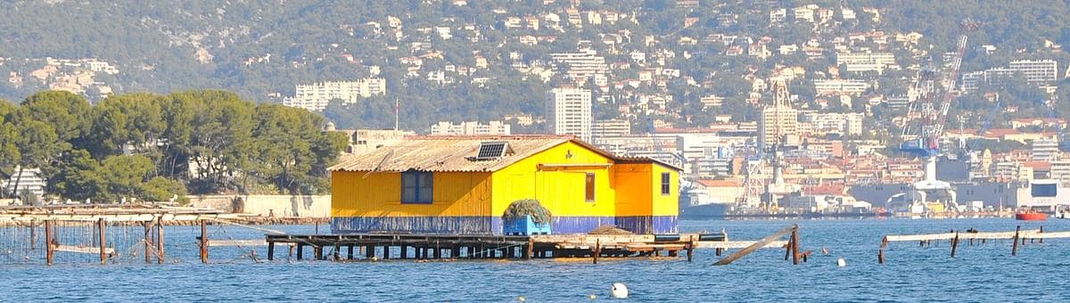 La Fédération MART et les contrats de baies